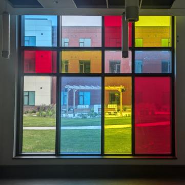 3M Coloured Film - Evolution Window Films