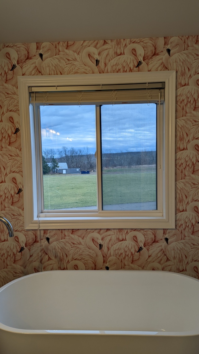 Bathroom Privacy - Evolution Window Films